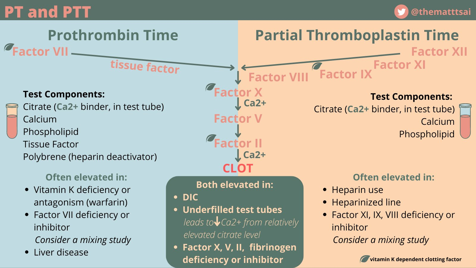 Primer on Applied Biopharmaceutics and Pharmacokinetics: Part II ...