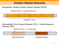 PacBio Introduces TRGT for Tandem Repeats Genome-Wide Characterization ...