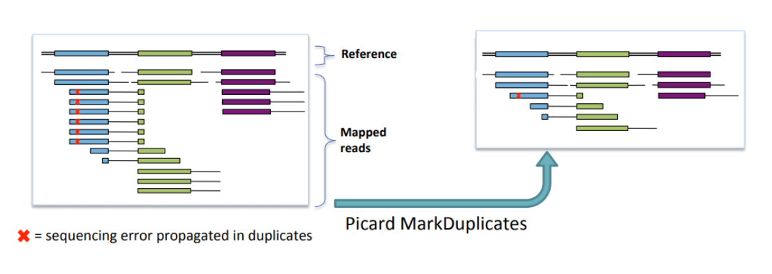 Cracking Genetic Ciphers: The Secondary NGS Analysis - PharmaFeatures