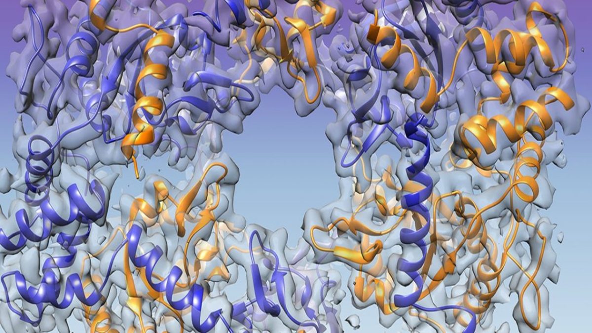Unlocking GPCR Drug Discovery: Essential Dynamics Ensemble Docking ...