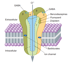 Deciphering the Dance of Drug-Receptor Interactions - PharmaFeatures
