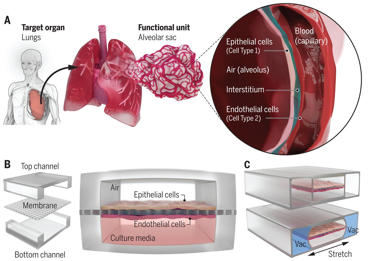 Discovering Tomorrow: DLOC Biosystems' Bold Move to Propel Drug ...