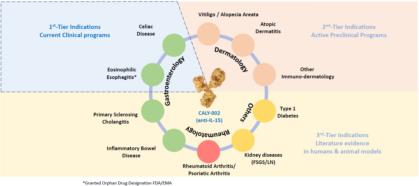 Novartis' Strategic Acquisition of Calypso: A Game-Changer in Autoimmune Therapies - PharmaFeatures