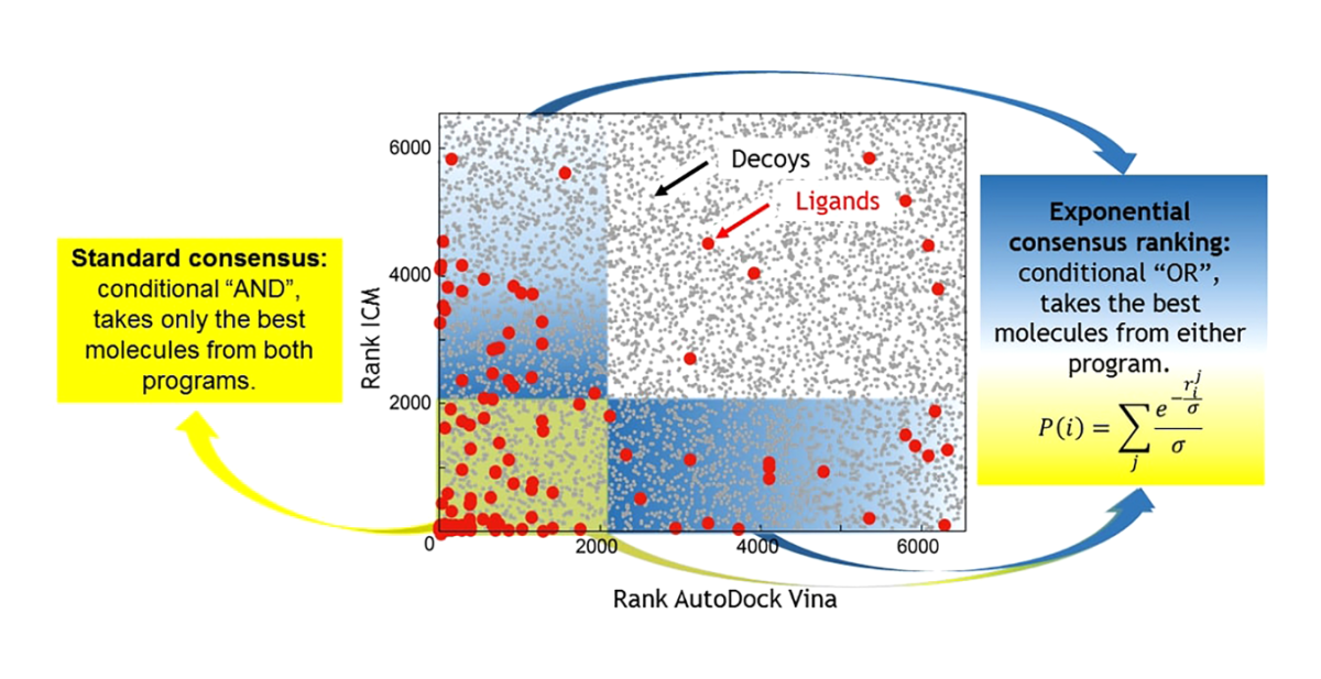 The Art and Science of Molecular Docking: Navigating the Future of Drug ...