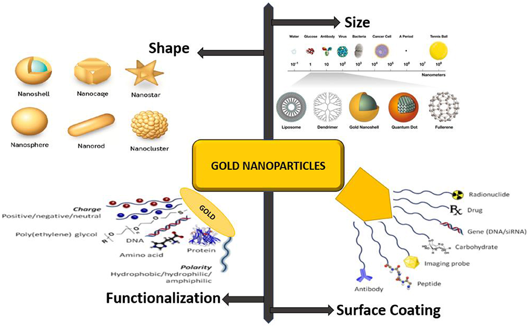 Permeating the Cranial Center: Novel Nanoparticles for ...
