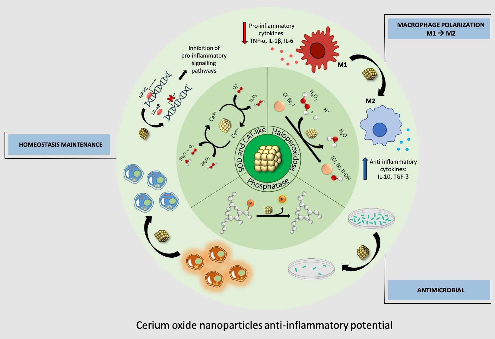 Permeating the Cranial Center: Novel Nanoparticles for ...