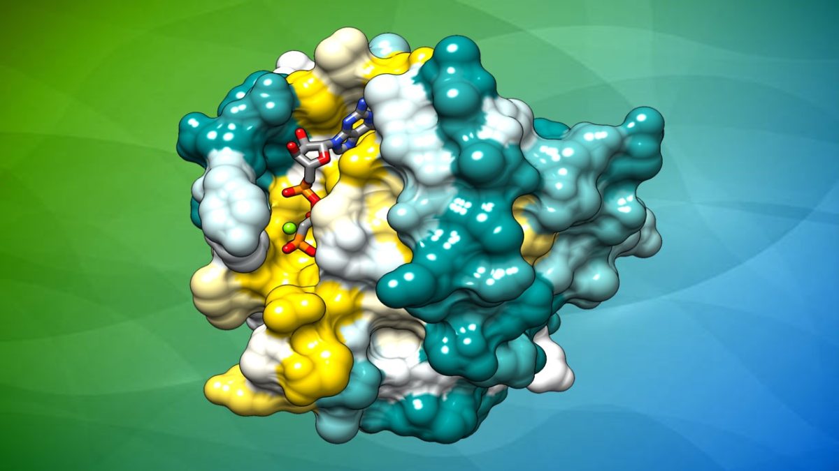 Deciphering the Dance of Drug-Receptor Interactions - PharmaFeatures
