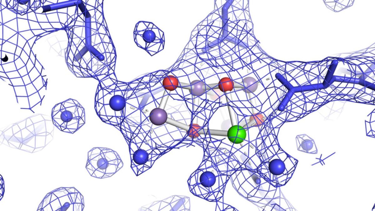 Green Pharma Revolution: Eco-Friendly Strategies for API Manufacturing ...