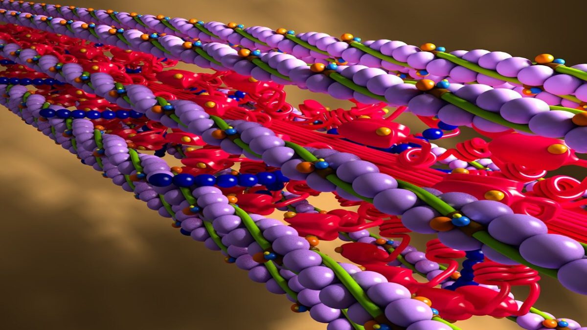 Novartis' Strategic Acquisition of Calypso: A Game-Changer in Autoimmune Therapies - PharmaFeatures