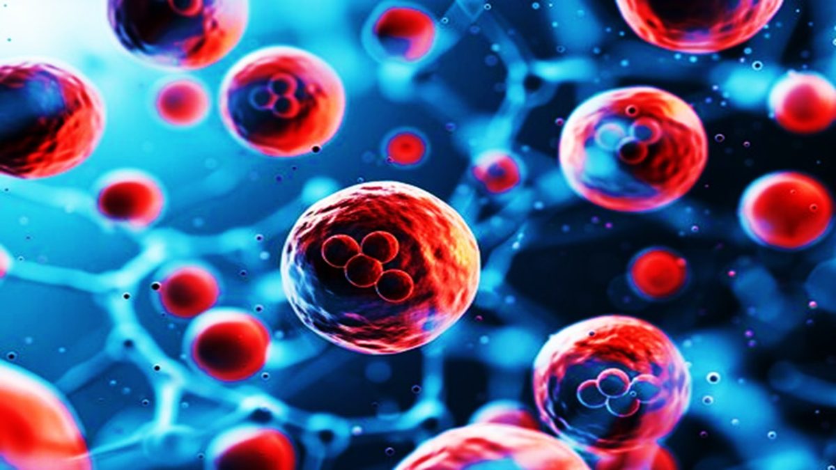 Novartis' Strategic Acquisition of Calypso: A Game-Changer in Autoimmune Therapies - PharmaFeatures