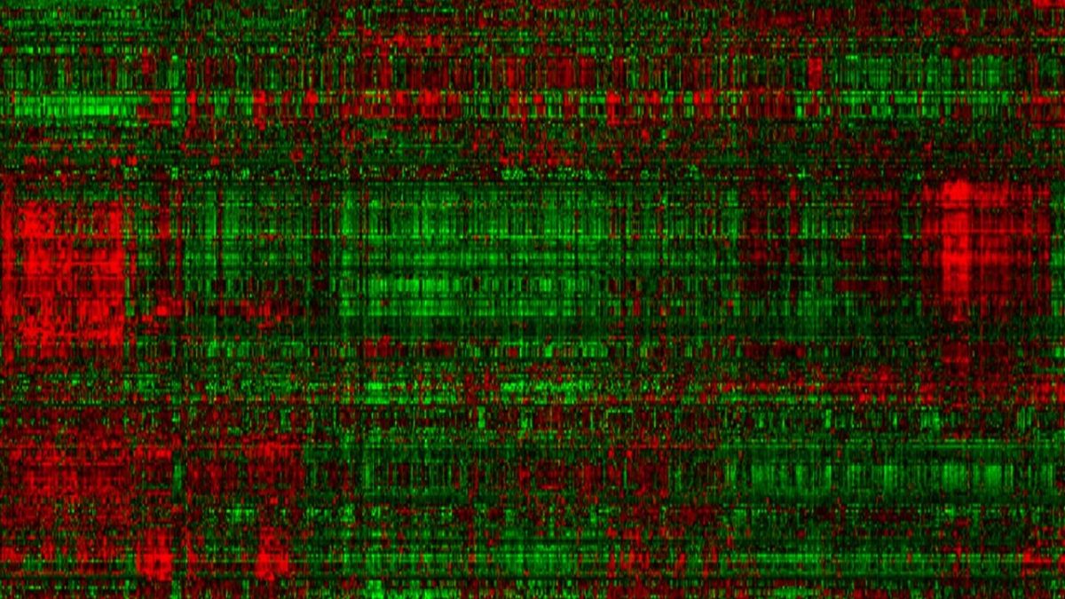 A Hidden Code How Synonymous Codons Shape Protein Folding And Function 8336