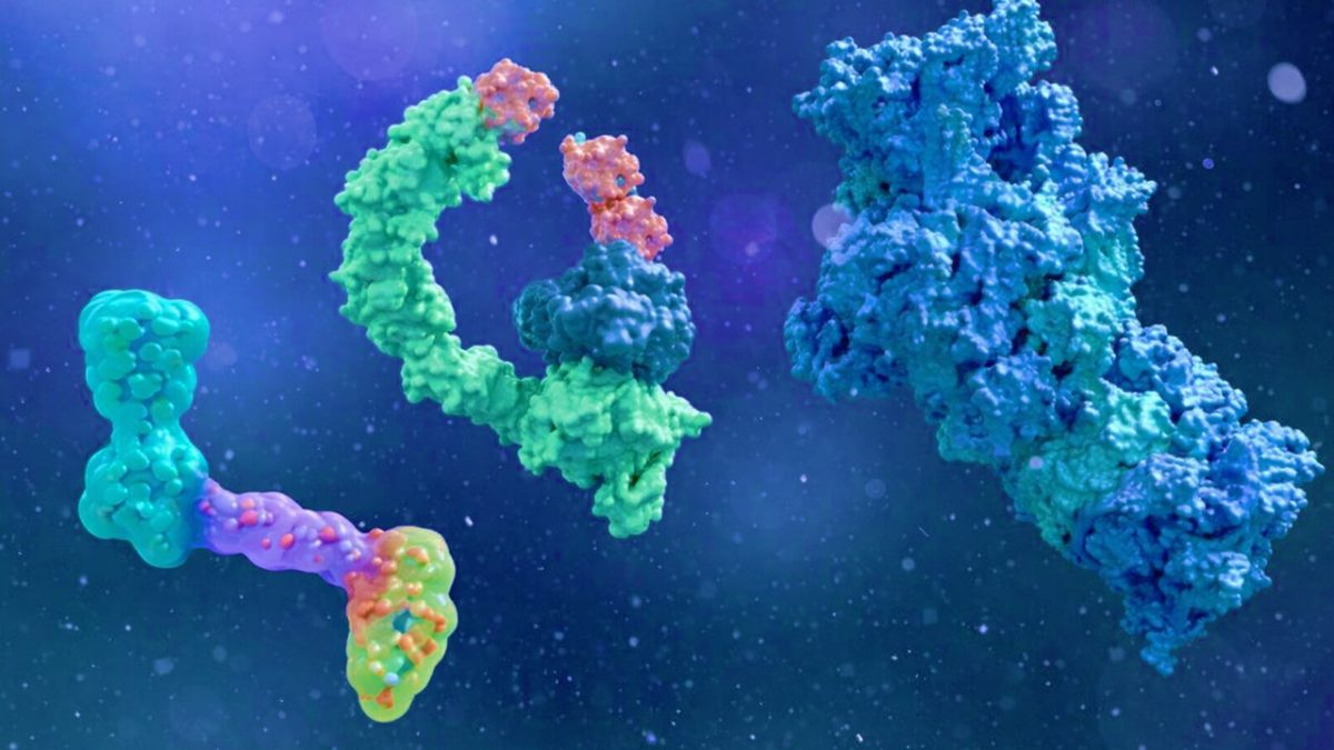 Understanding Lewy Bodies: The Pillars of Parkinson's Pathology ...